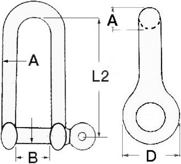 Stainless Steel Long D Shaped Shackle